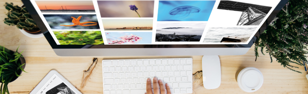 The Ultimate Guide to Aesthetics and Website Management for ...